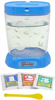 Sea Monkey Ocean Zoo – The Ivy Cottage